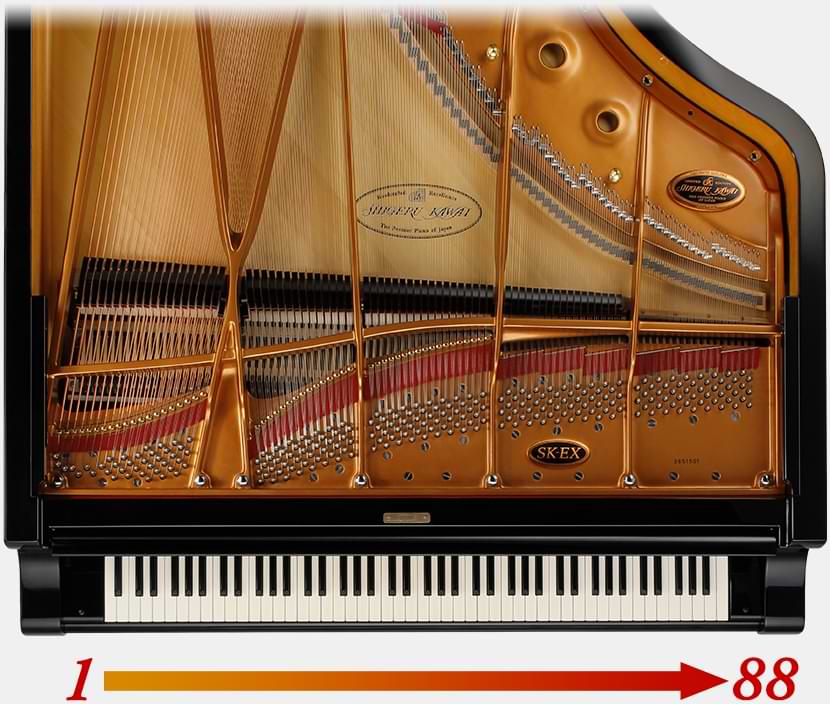 Kawai CN301｜Digital Pianos｜Products｜Kawai Musical Instruments ...